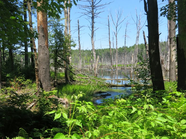 2 Vaughn Hills – Bolton Trails